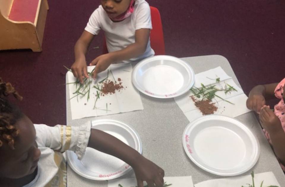 Harris Learning Academy LLC Offers Child Center in Charlotte, NC 28269